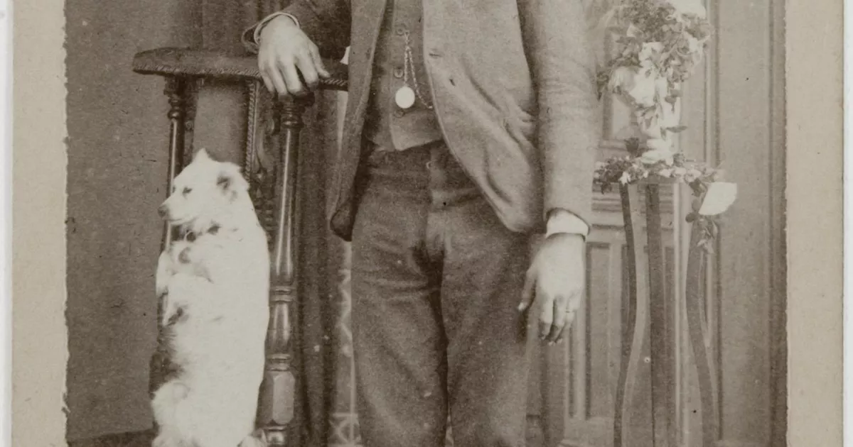 Studio portrait of standing man, with dog begging on chair - AGSA ...