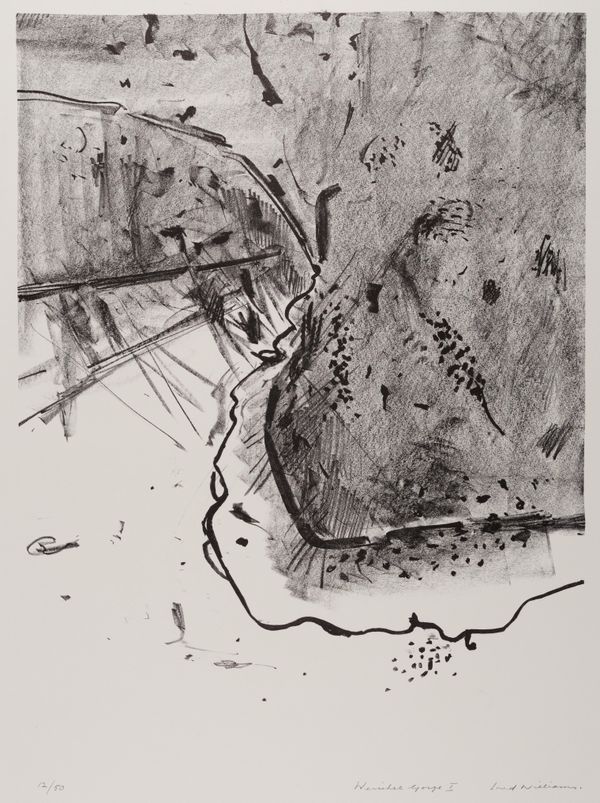 Fred Williams - AGSA