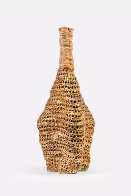 Judith Pungarta Inkamala - AGSA